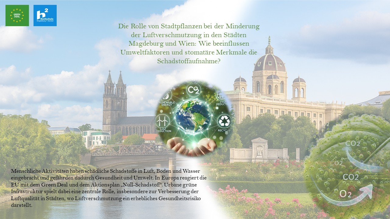 InterGrad EGD | Projekteindrücke